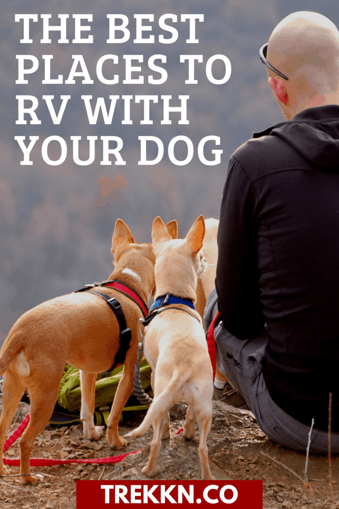RVing with Dogs: Comprehensive Guide for Your Travels