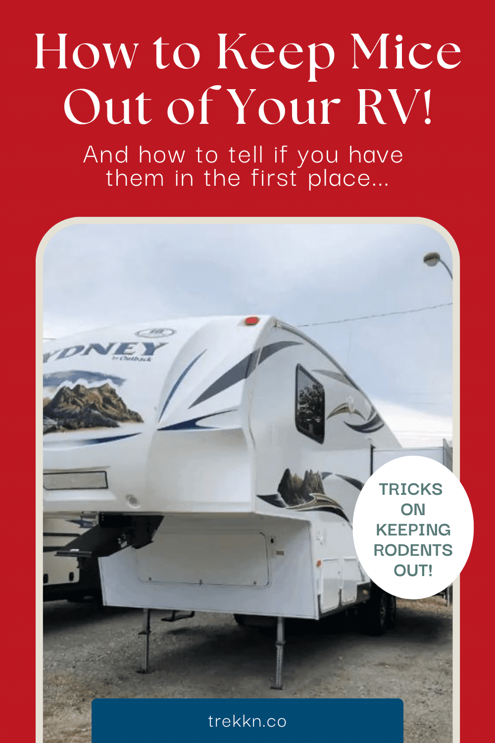 How to Keep Mice Out of Your RV So You Can Sleep Well
